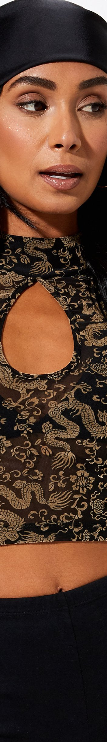 Long Sleeve Black and Tan Dragon Print crop Top | Jilsa – motelrocks-com-us